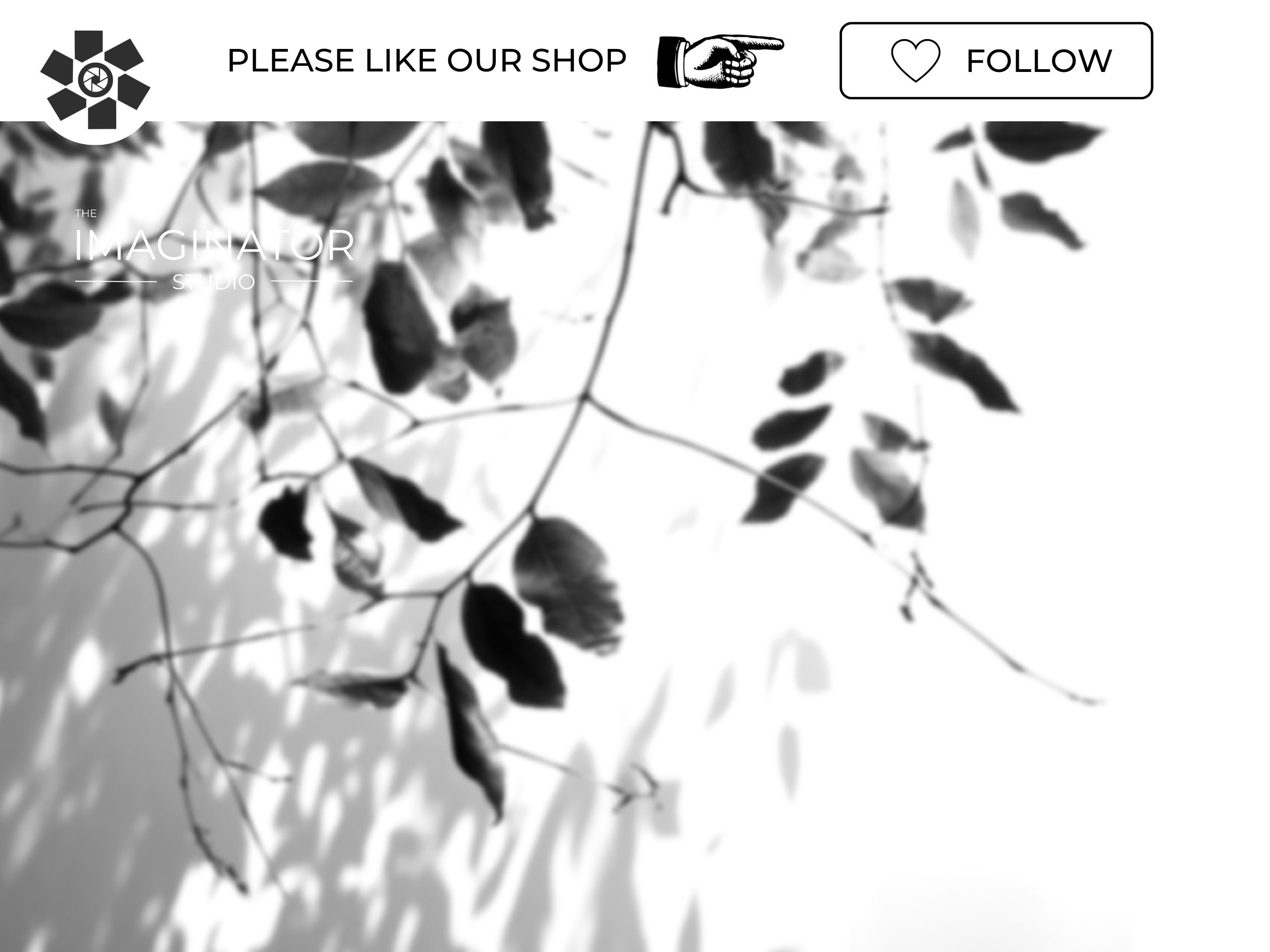 Shadow Overlays | Leaf Shadow | Tree Branch Shadow | Photoshop Overlays ...
