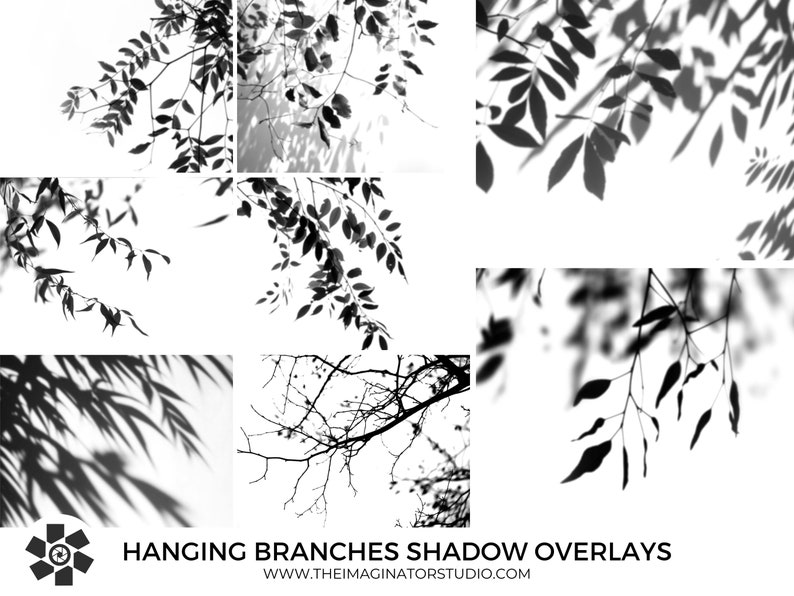 Shadow Overlays | Leaf Shadow | Tree Branch Shadow | Photoshop Overlays ...
