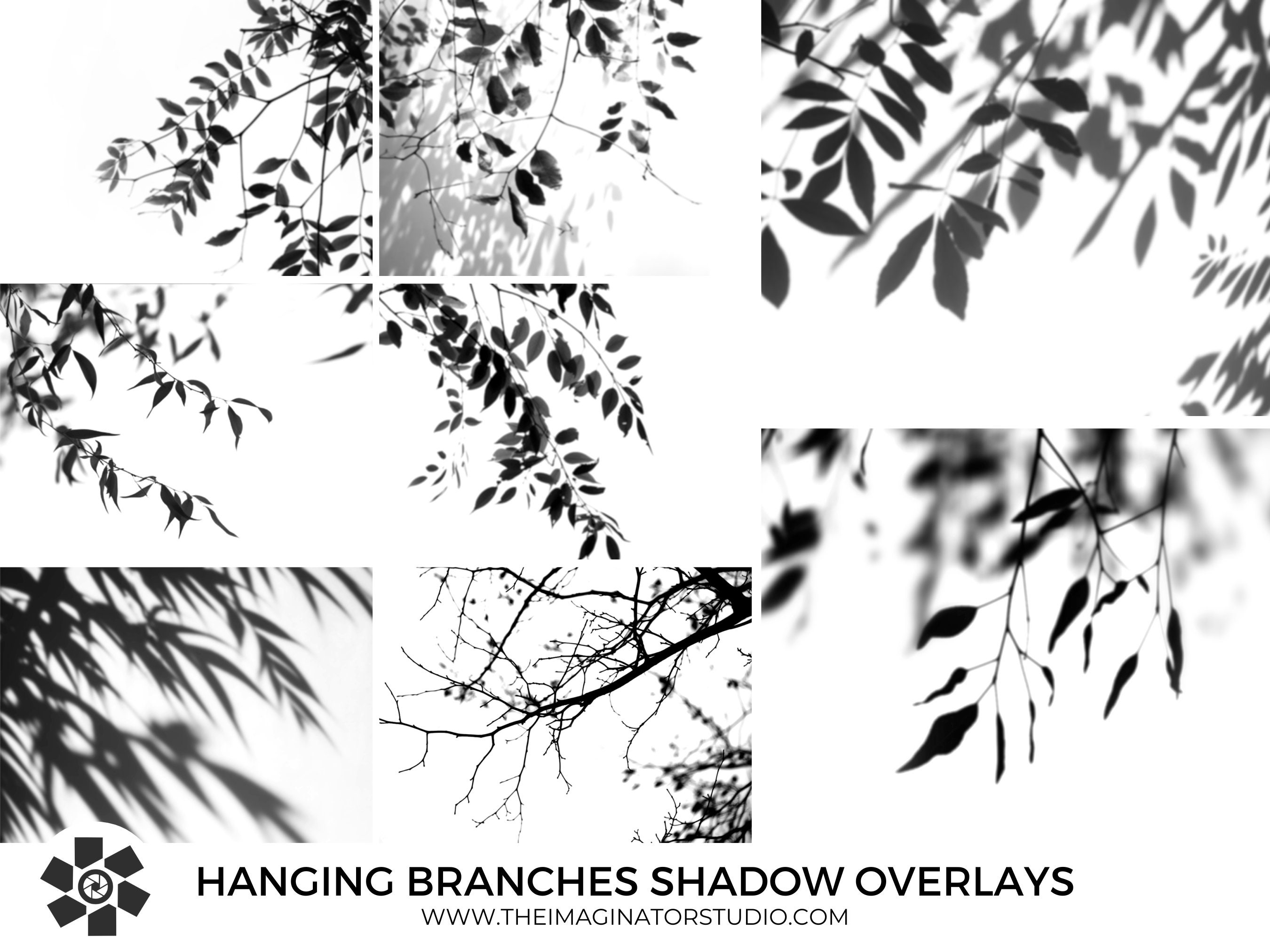 Shadow Overlays | Leaf Shadow | Tree Branch Shadow | Photoshop Overlays ...