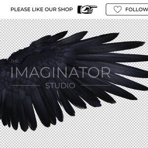 Crow Wing Overlays | Black Wings | Photoshop | Photography | Raven ...