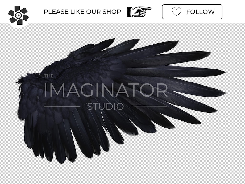 Crow Wing Overlays | Black Wings | Photoshop | Photography | Raven ...