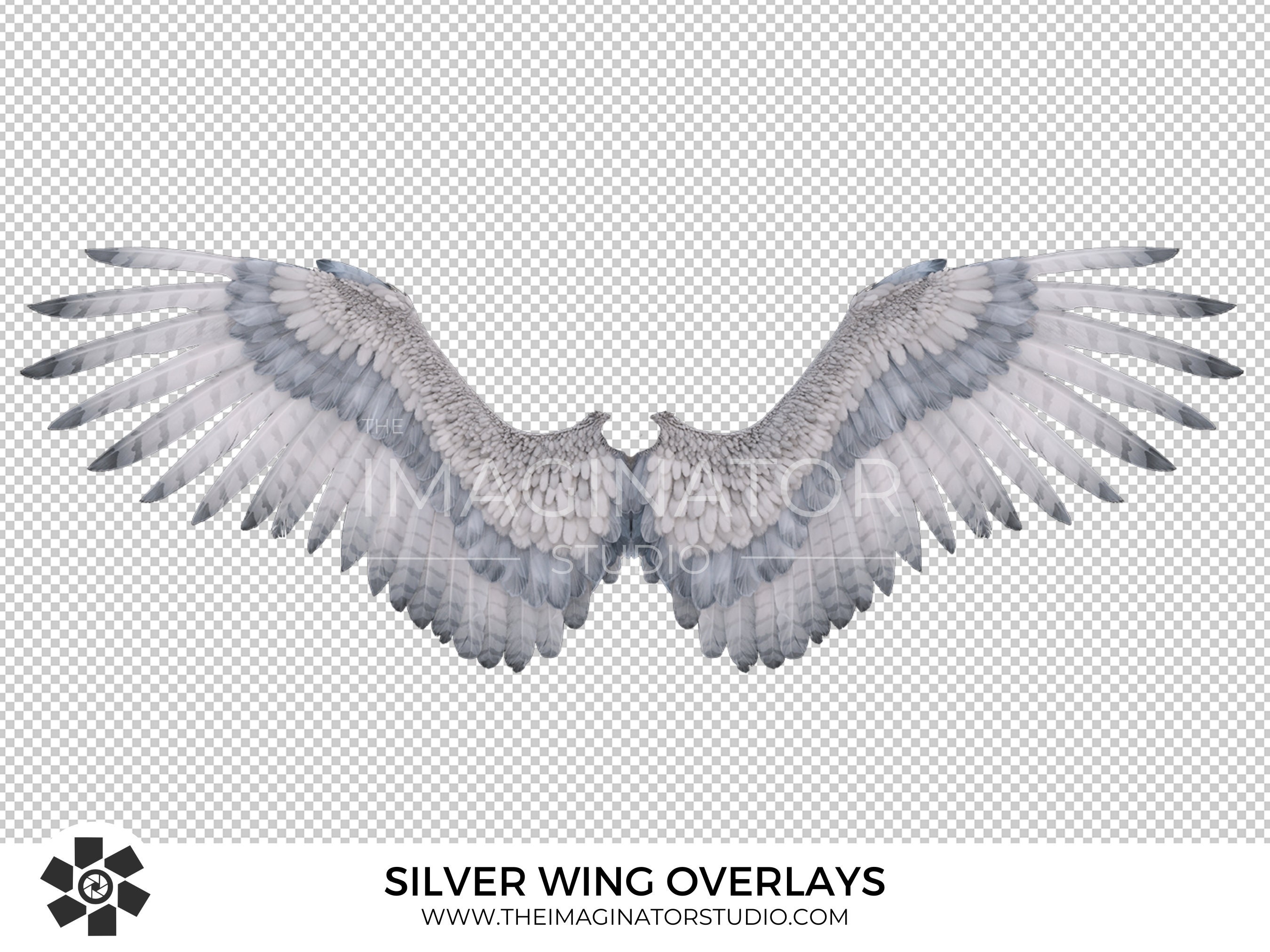 Silver Wing Overlays | Digital Wings | Grey Wings | Angel Wings ...
