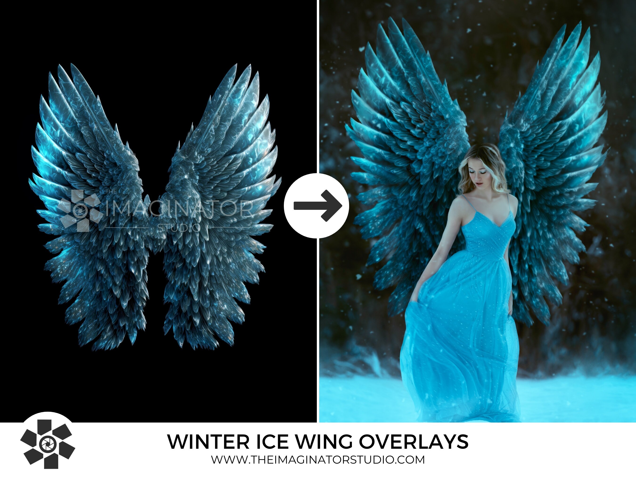 Winter Ice Wing | Digital Wing Overlay | Digital Wings | Photoshop ...