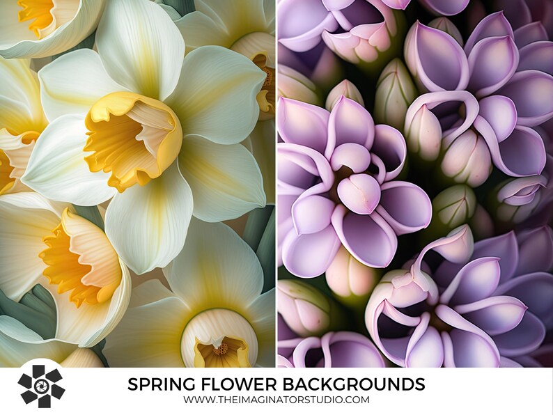Spring Flower Backgrounds | Floral Backdrops | Digital Background ...