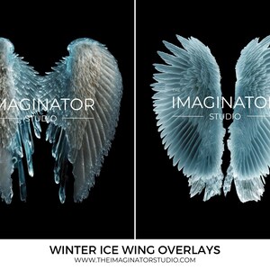 Winter Ice Wing | Digital Wing Overlay | Digital Wings | Photoshop ...