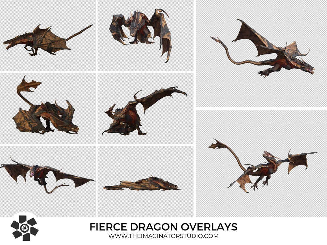 Fierce Dragon Overlays | Digital Dragon Clipart | Dragon PNG | Digital ...
