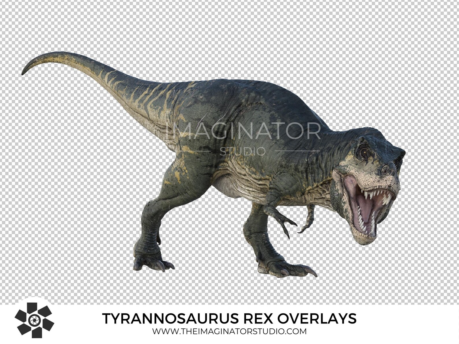 T-rex Dino Overlays | Tyrannosaurus Rex Overlays | Photography ...