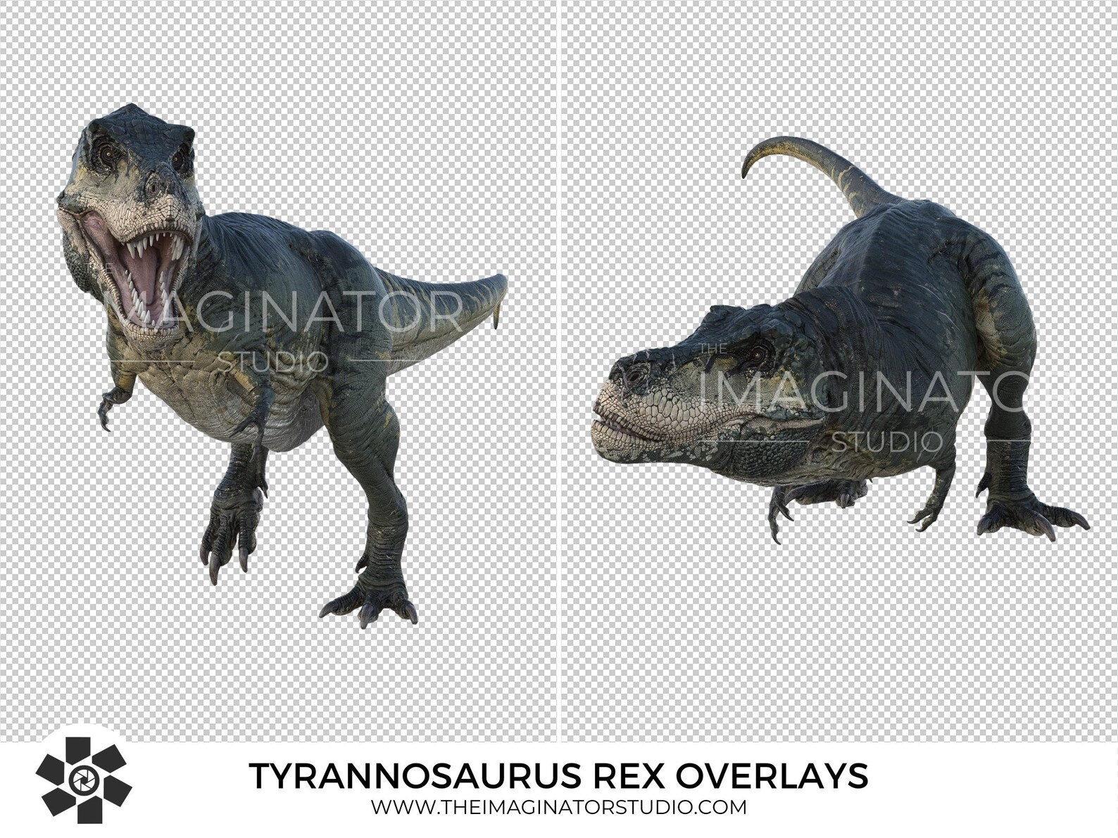 T-rex Dino Overlays | Tyrannosaurus Rex Overlays | Photography ...
