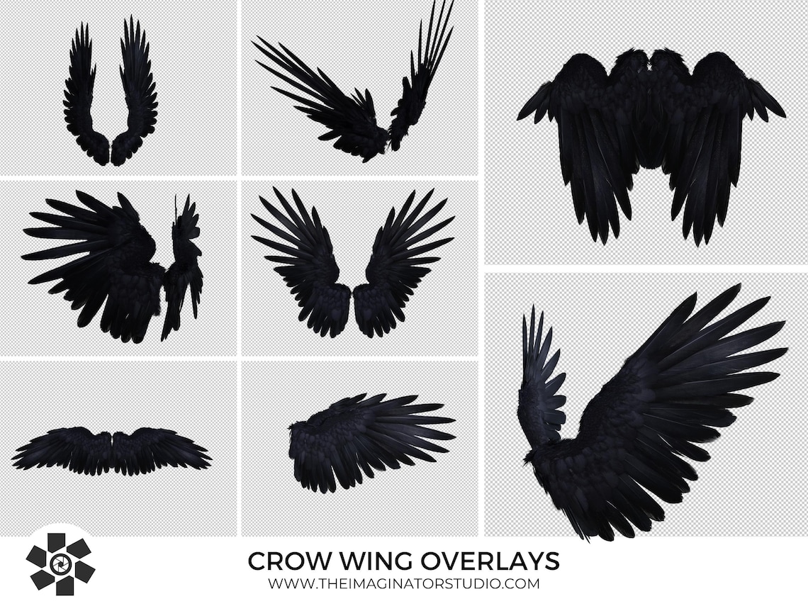 Crow Wing Overlays | Black Wings | Photoshop | Photography | Raven ...