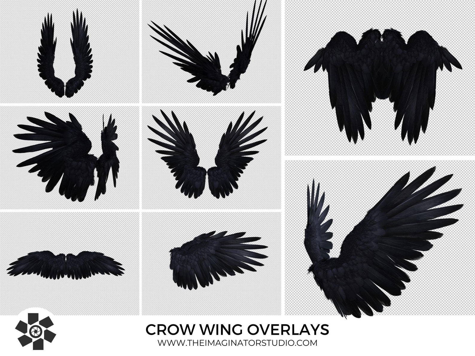 Crow Wing Overlays | Black Wings | Photoshop | Photography | Raven ...