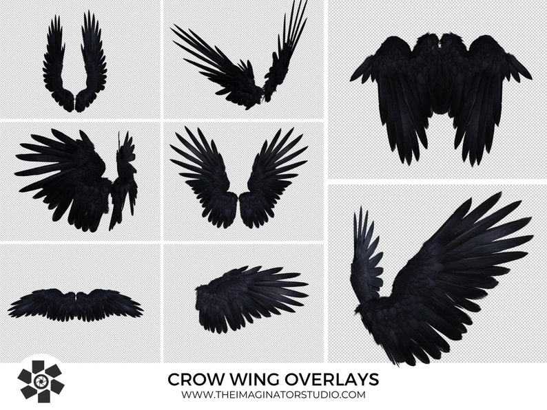 Crow Wing Overlays | Black Wings | Photoshop | Photography | Raven ...