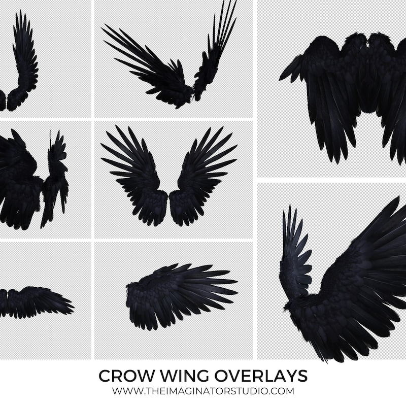 Raven Wings - Etsy