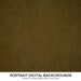 Portrait Digital Backgrounds | Digital Backdrops | Photo Studio ...