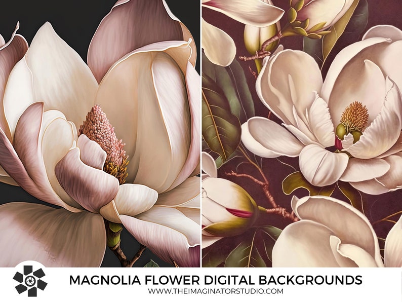 Magnolia Flower Backgrounds | Floral Backgrounds | Fine Art Backdrops ...