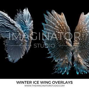 Winter Ice Wing | Digital Wing Overlay | Digital Wings | Photoshop ...