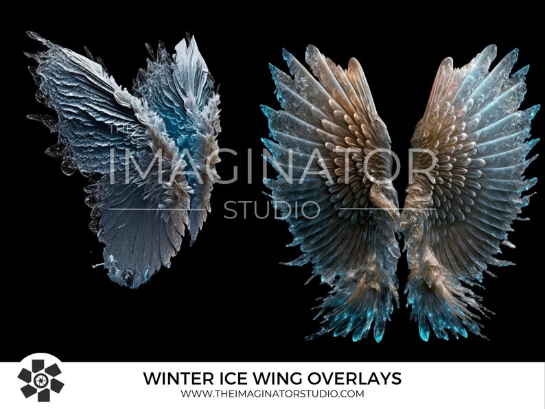 Winter Ice Wing | Digital Wing Overlay | Digital Wings | Photoshop ...