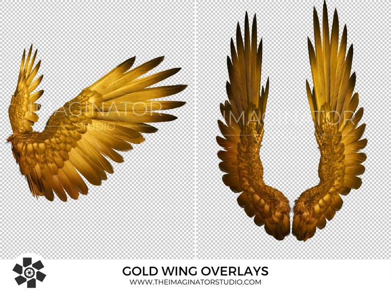 Gold Wing Overlays | Digital Wings | Gold | Eagle Wings | Photoshop ...