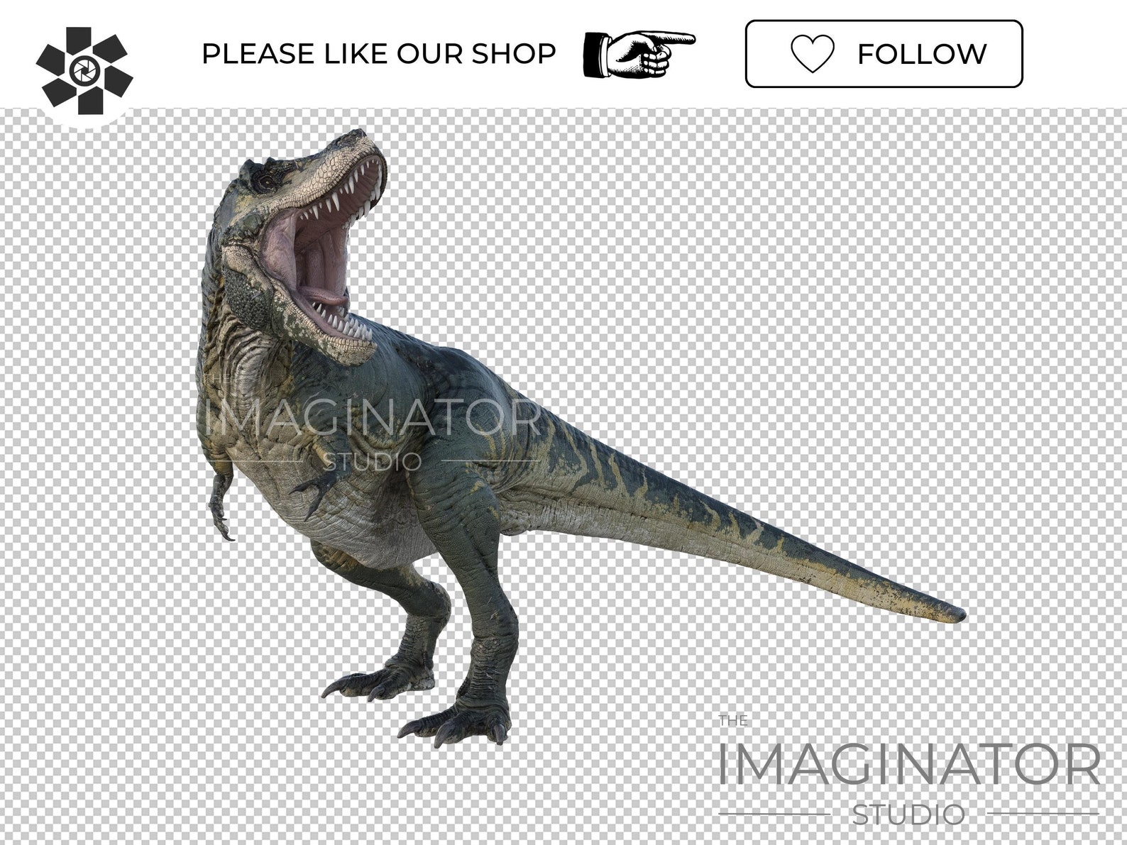 T-rex Dino Overlays | Tyrannosaurus Rex Overlays | Photography ...