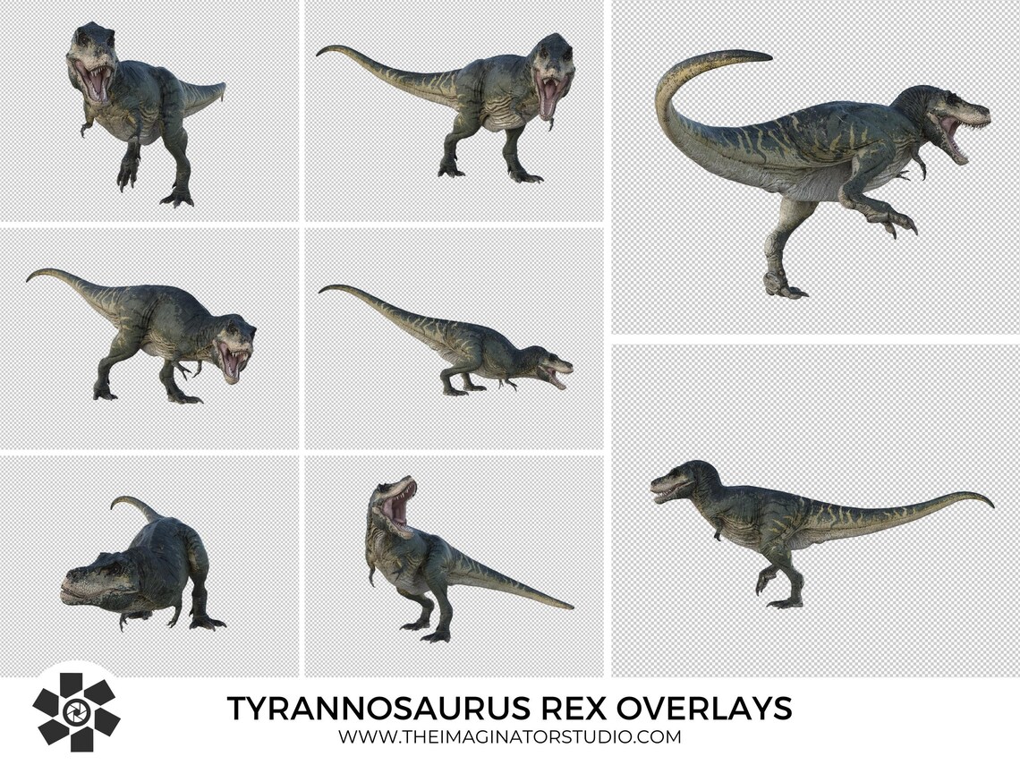T-rex Dino Overlays | Tyrannosaurus Rex Overlays | Photography ...