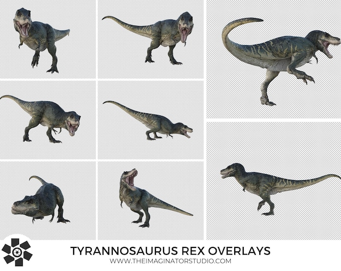 Trex Png, Tyrannosaurus Rex Overlay PNG - Dinosaur Overlay - Etsy Canada