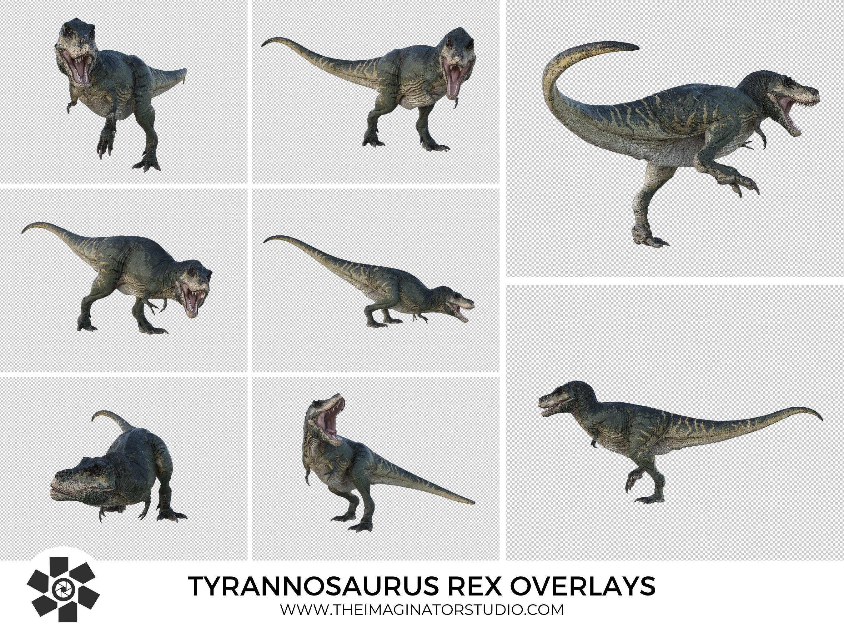 T-rex Dino Overlays | Tyrannosaurus Rex Overlays | Photography ...