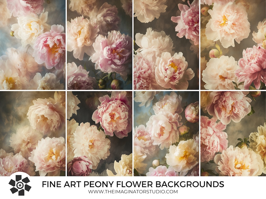 Peony Flower Background | Digital Background | Digital Backdrop | Fine ...