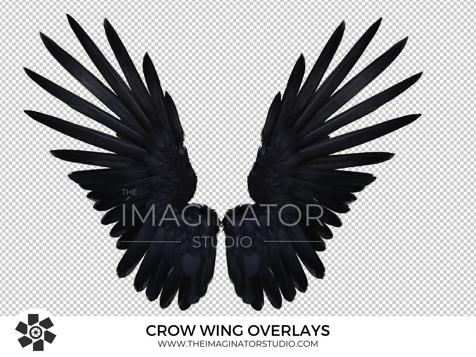 Crow Wing Overlays | Black Wings | Photoshop | Photography | Raven ...