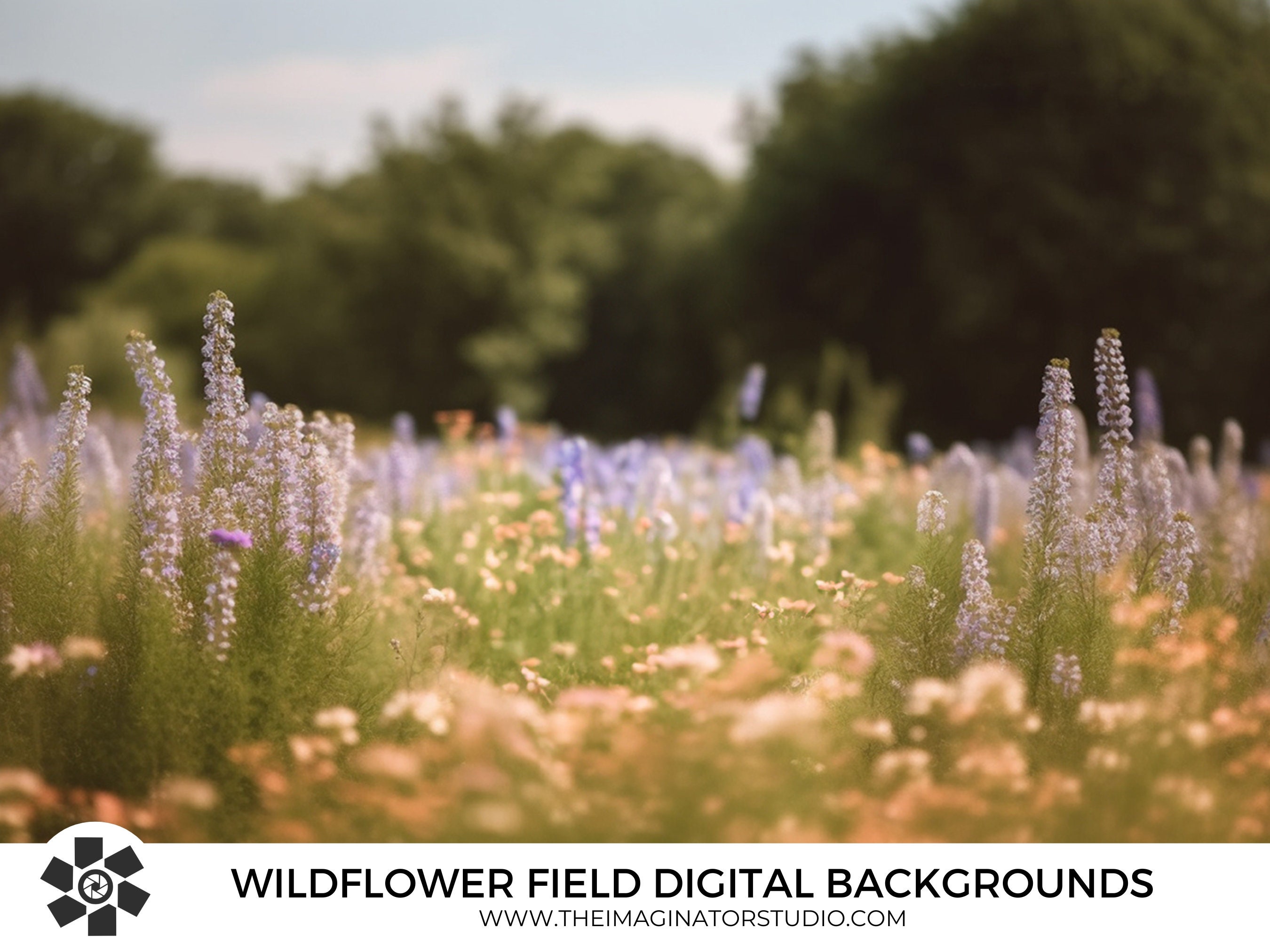Wildflower Field Background | Digital Background | Digital Backdrop ...