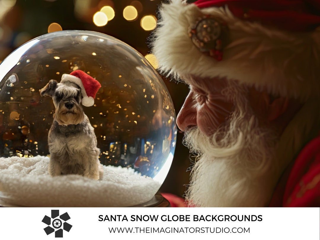 Christmas Snow Globe Backgrounds | Photoshop | Digital Backgrounds ...