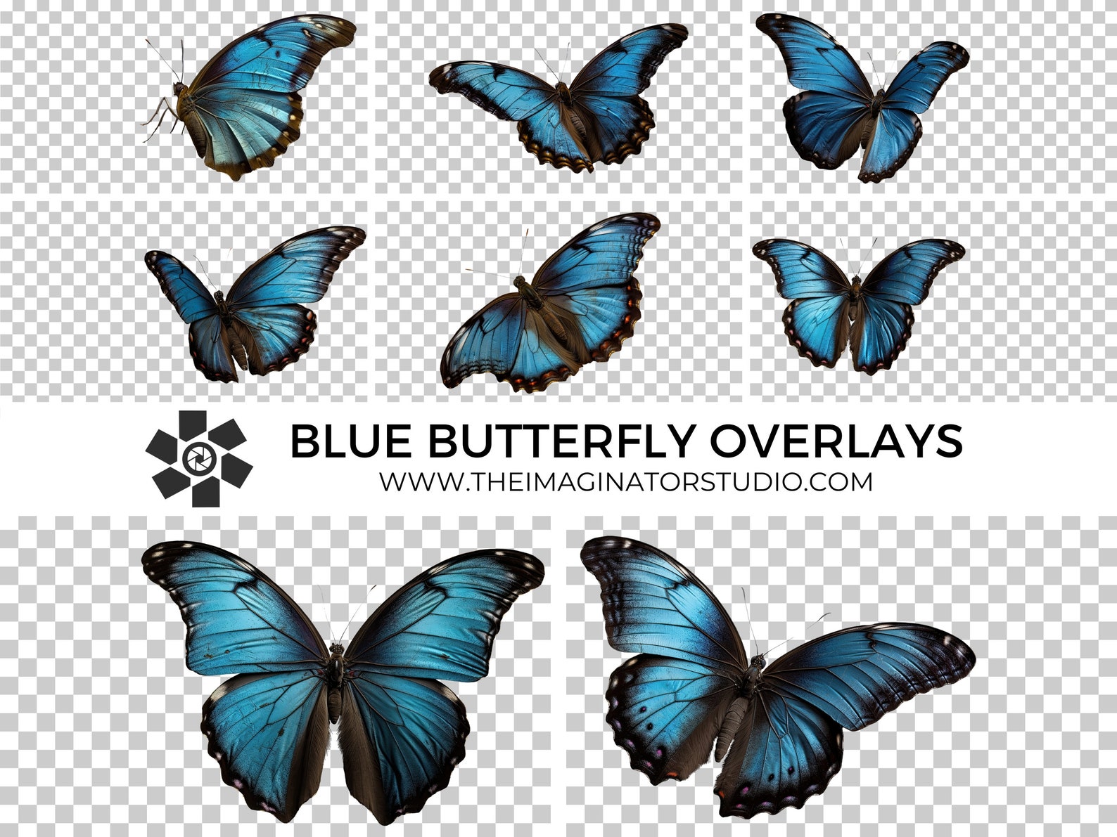 Blue Butterfly Overlays | Blue Morpho Butterfly | PNG | Overlays ...