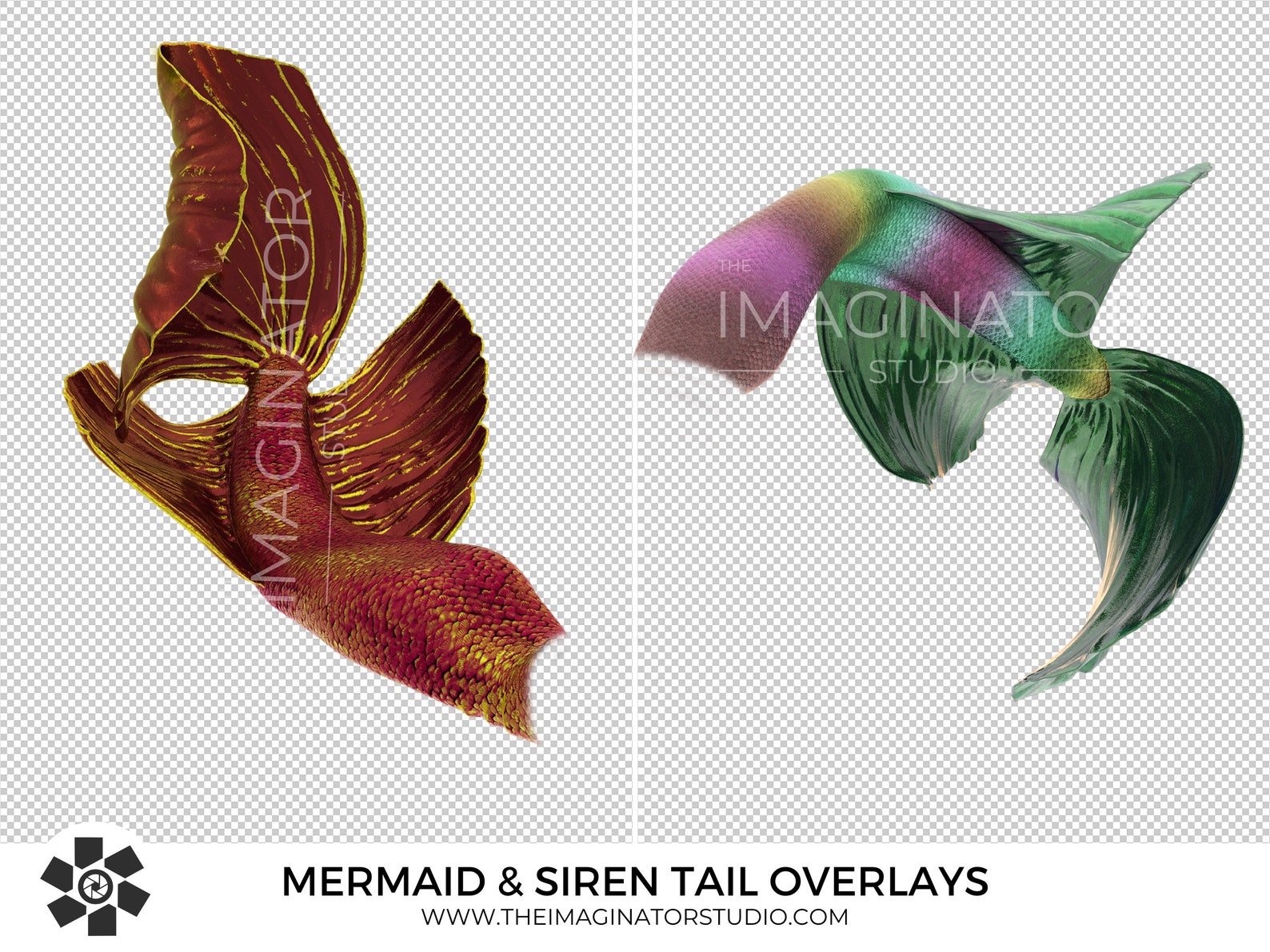Mermaid Tail Overlays Png Mermaid Clipart for Mermaid Photography ...