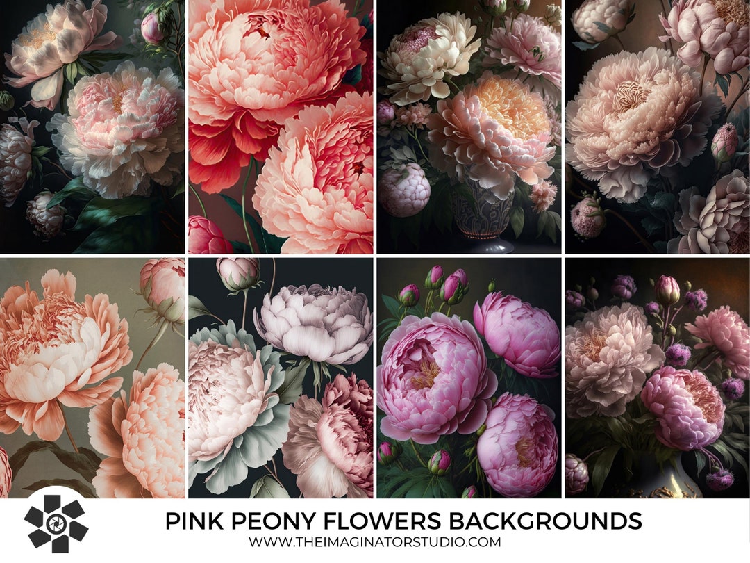 Pink Peony Digital Backgrounds | Floral Backdrops | Portrait ...
