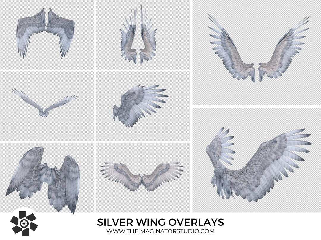 Silver Wing Overlays | Digital Wings | Grey Wings | Angel Wings ...