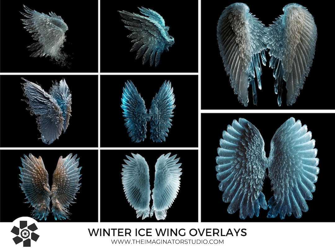 Winter Ice Wing | Digital Wing Overlay | Digital Wings | Photoshop ...