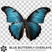 Blue Butterfly Overlays | Blue Morpho Butterfly | PNG | Overlays ...