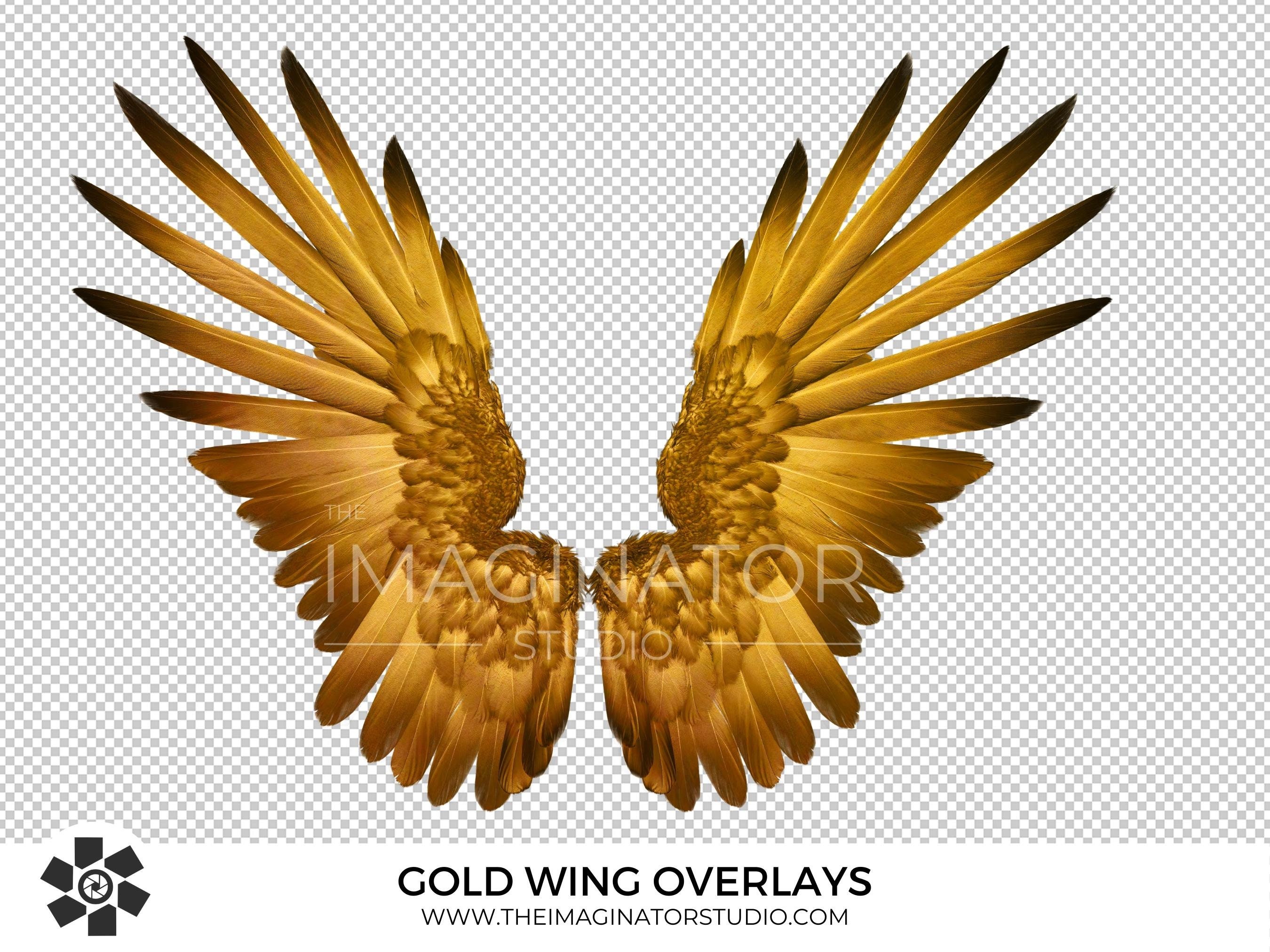 Gold Wing Overlays | Digital Wings | Gold | Eagle Wings | Photoshop ...