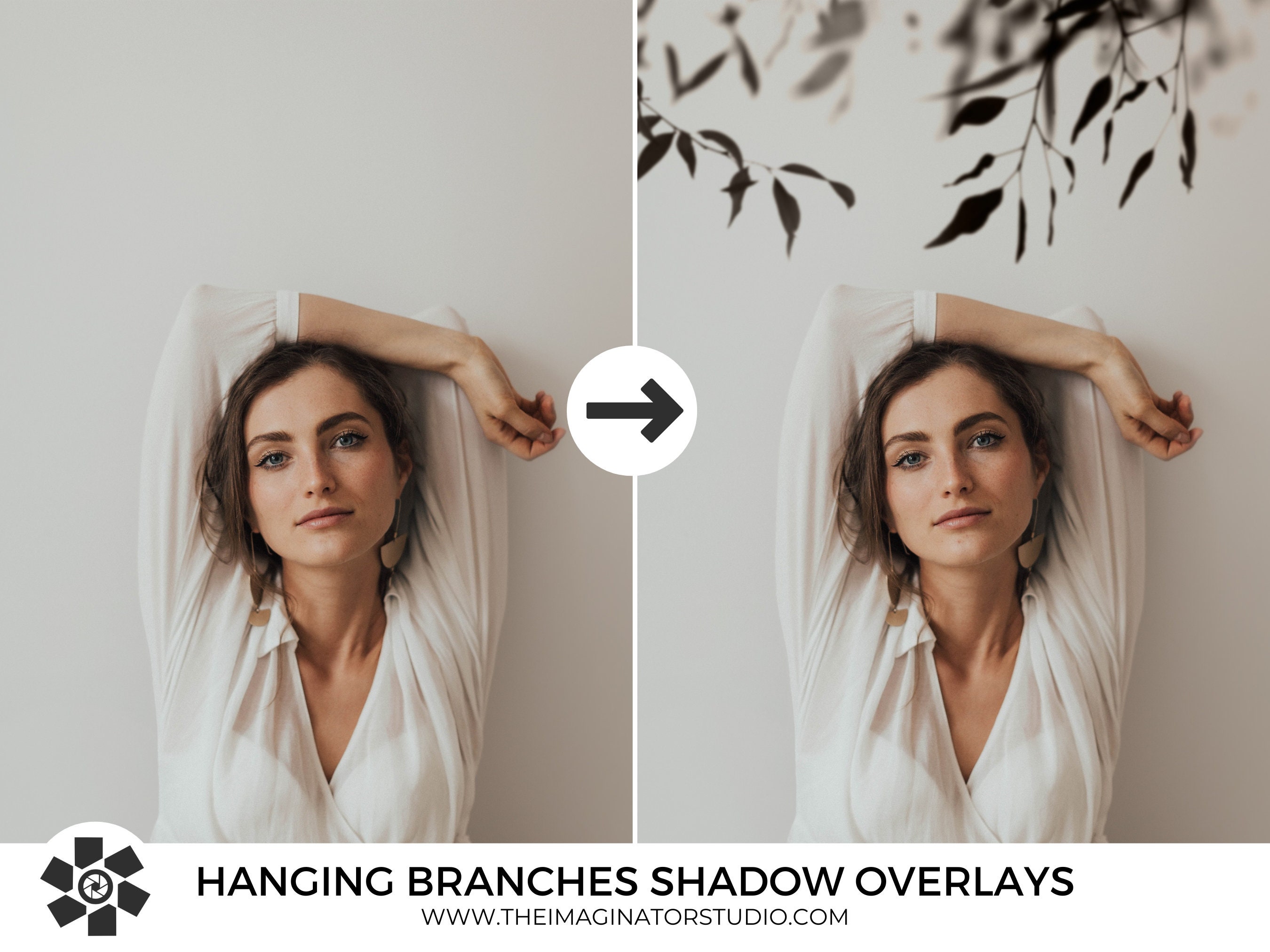 Shadow Overlays | Leaf Shadow | Tree Branch Shadow | Photoshop Overlays ...