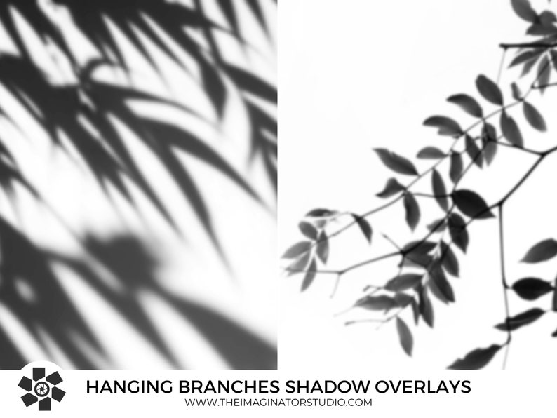 Shadow Overlays | Leaf Shadow | Tree Branch Shadow | Photoshop Overlays ...