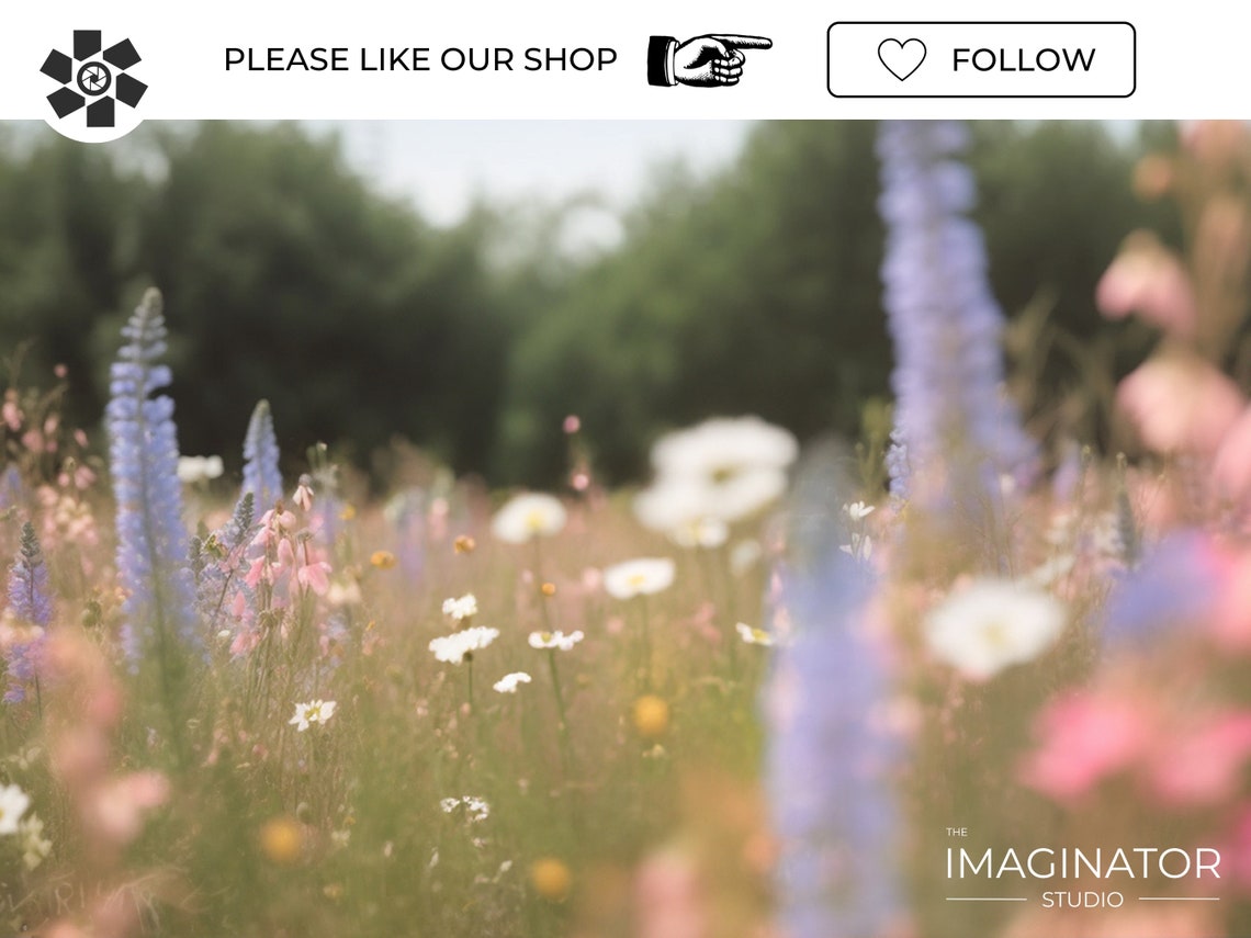 Wildflower Field Background | Digital Background | Digital Backdrop ...