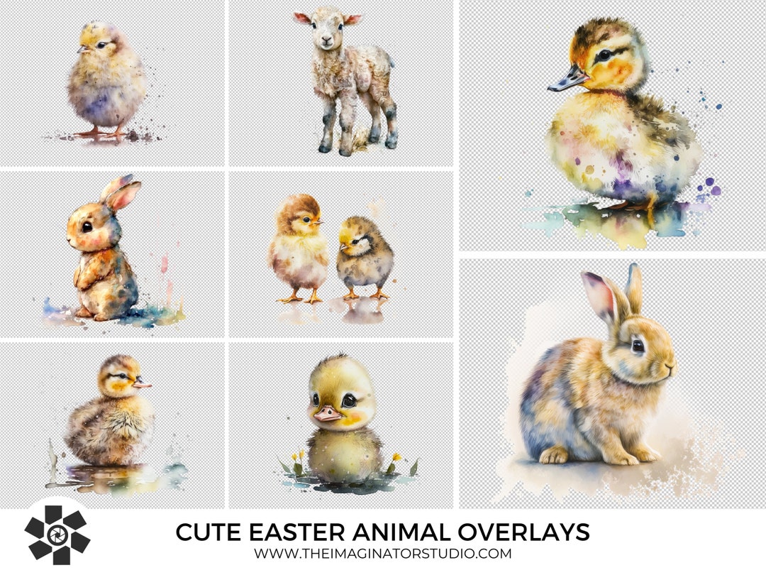 Watercolor Animals | Easter Animals | Cute Animals | Png | Clipart ...