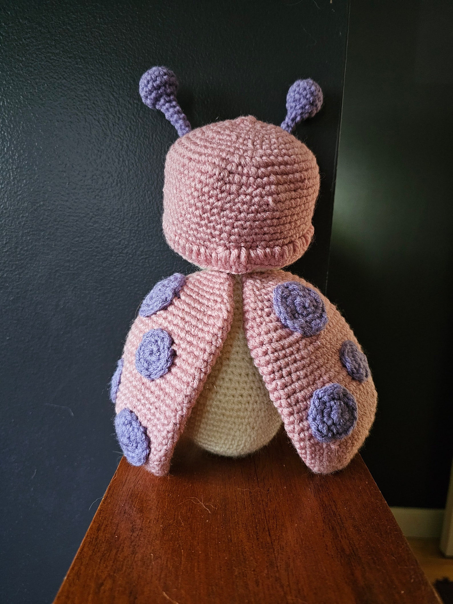 Ladybug Amigurumi Ms. Ladybug - Etsy