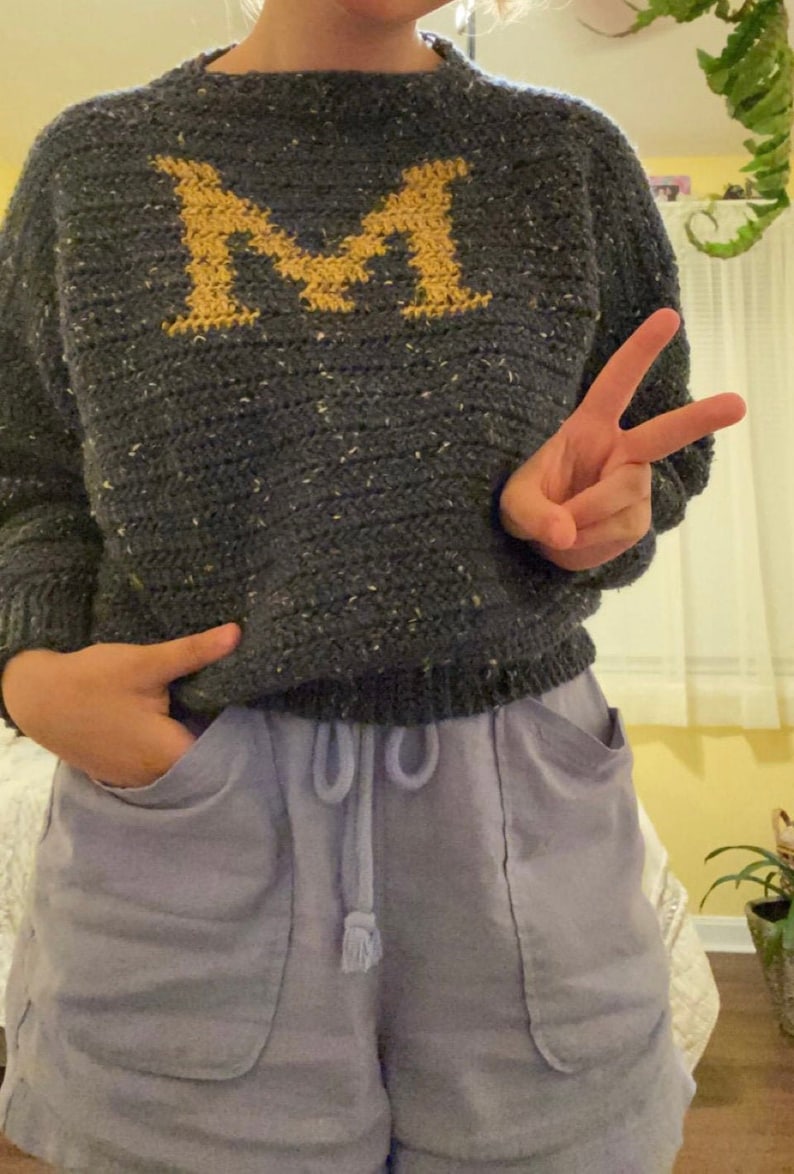 Custom Hand-crocheted Weasley Inspired Sweater - Etsy