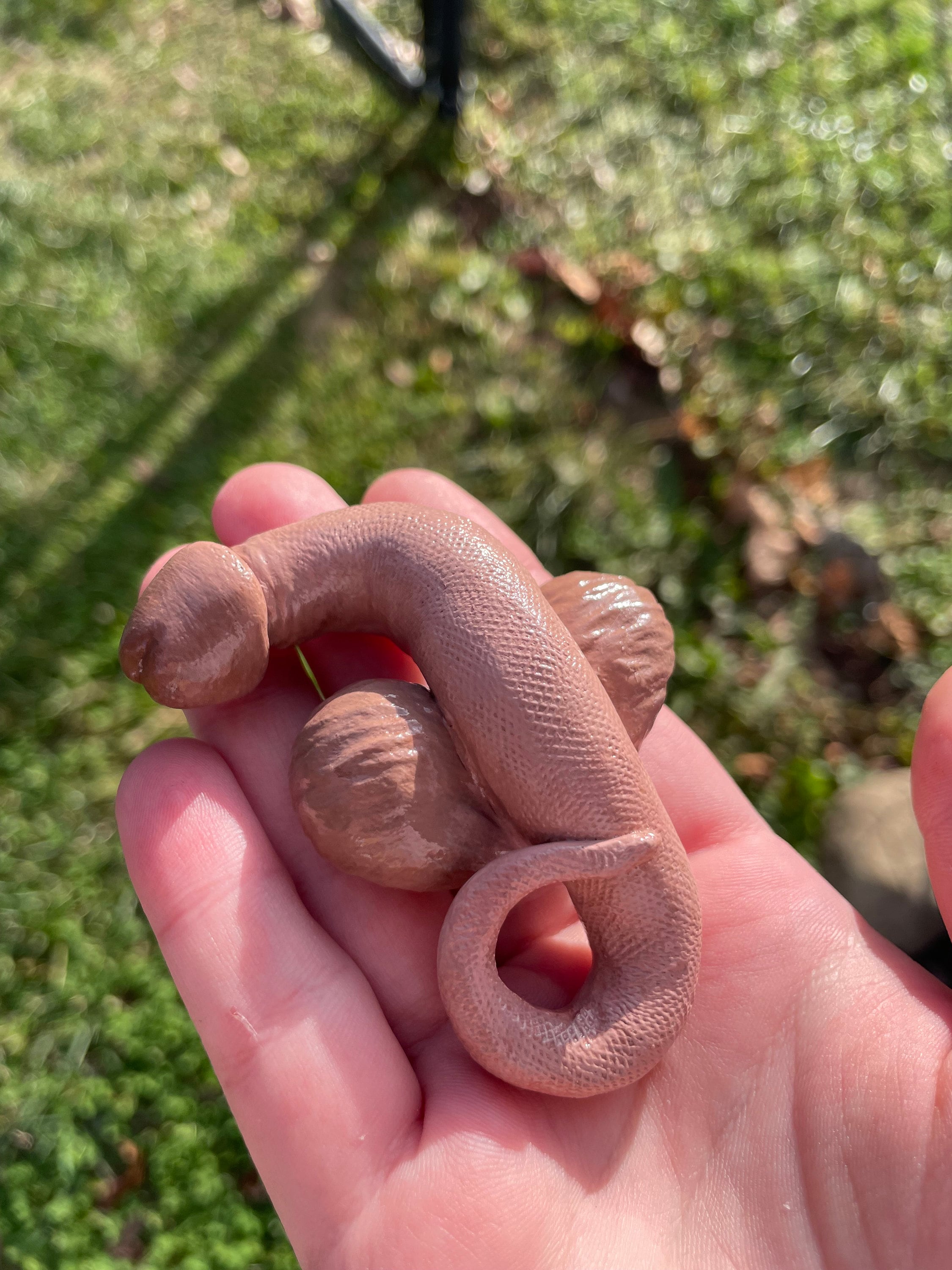 Penis Snake Penis Charm/genital Figurine/handmade/home Decoration/gag Gift - Etsy
