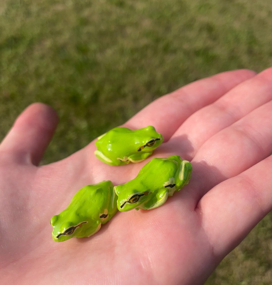 Miniature Frogs - Frog Keychain/frog Fridge Magnents/frog Plant Pal ...