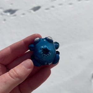 Funky Blueberry Frogs - Blueberry Rain Frog/plant Pal/fruit Frog - Etsy