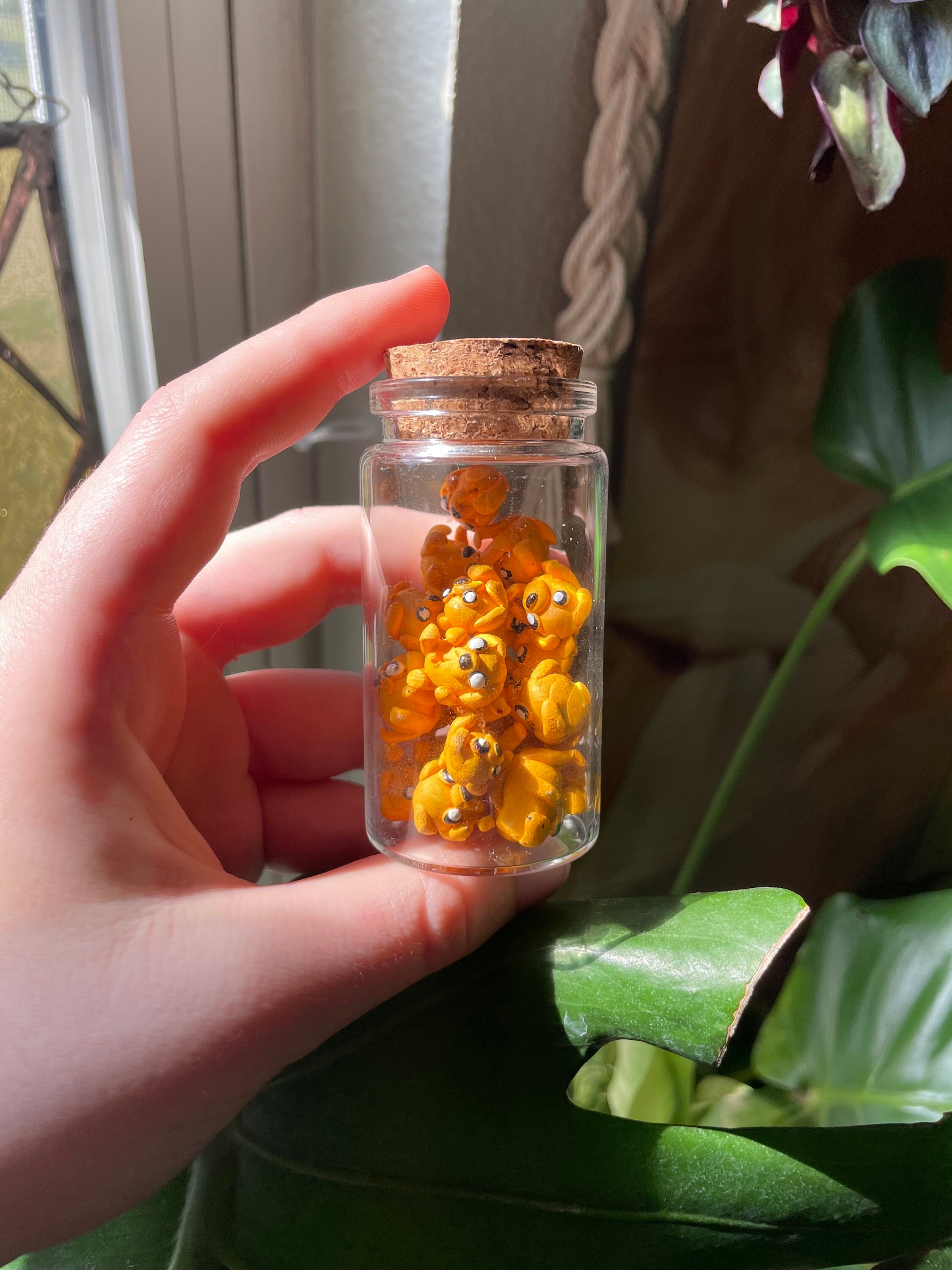 Jakes in a Jar/adventure Time/jake the Dog - Etsy