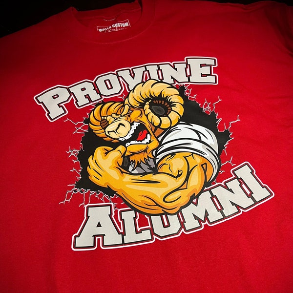 High School Shirts - Etsy