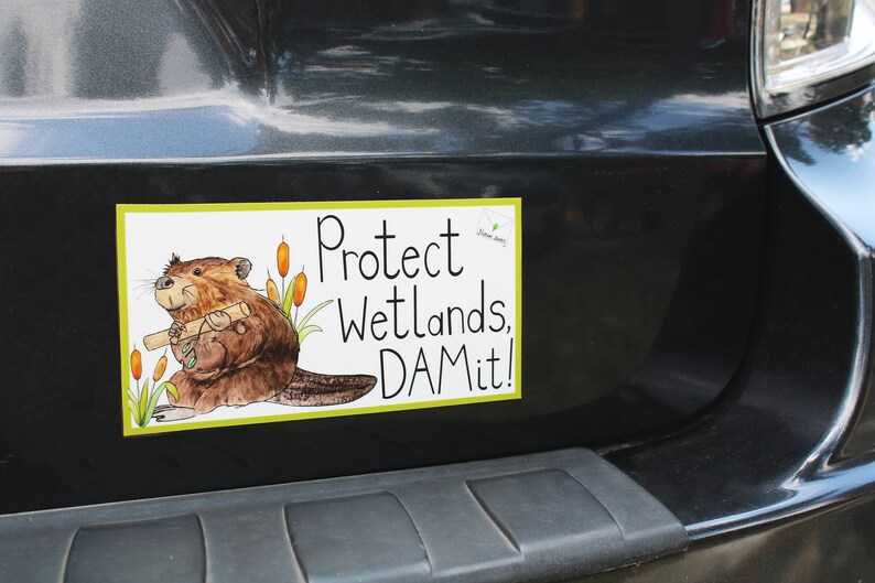Protect Wetlands, Damit! -- Beaver Bumper Sticker - Etsy