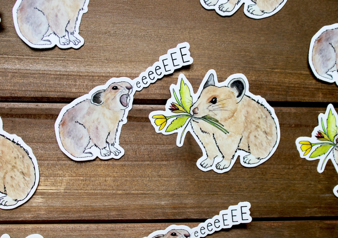 Pika Besties Bundle Sticker Pack - Etsy