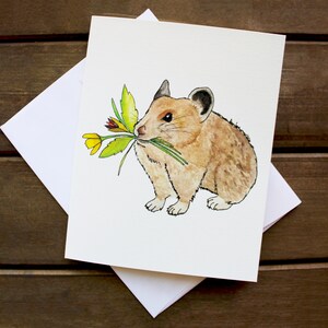 Pika Pal Party Pack -- Set of Three (3) Eco-friendly American Pika ...